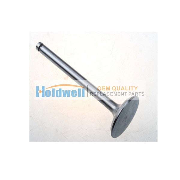 HOLDWELL? Inlet valve 3142D041 for Perkins 1004 series 1006 series